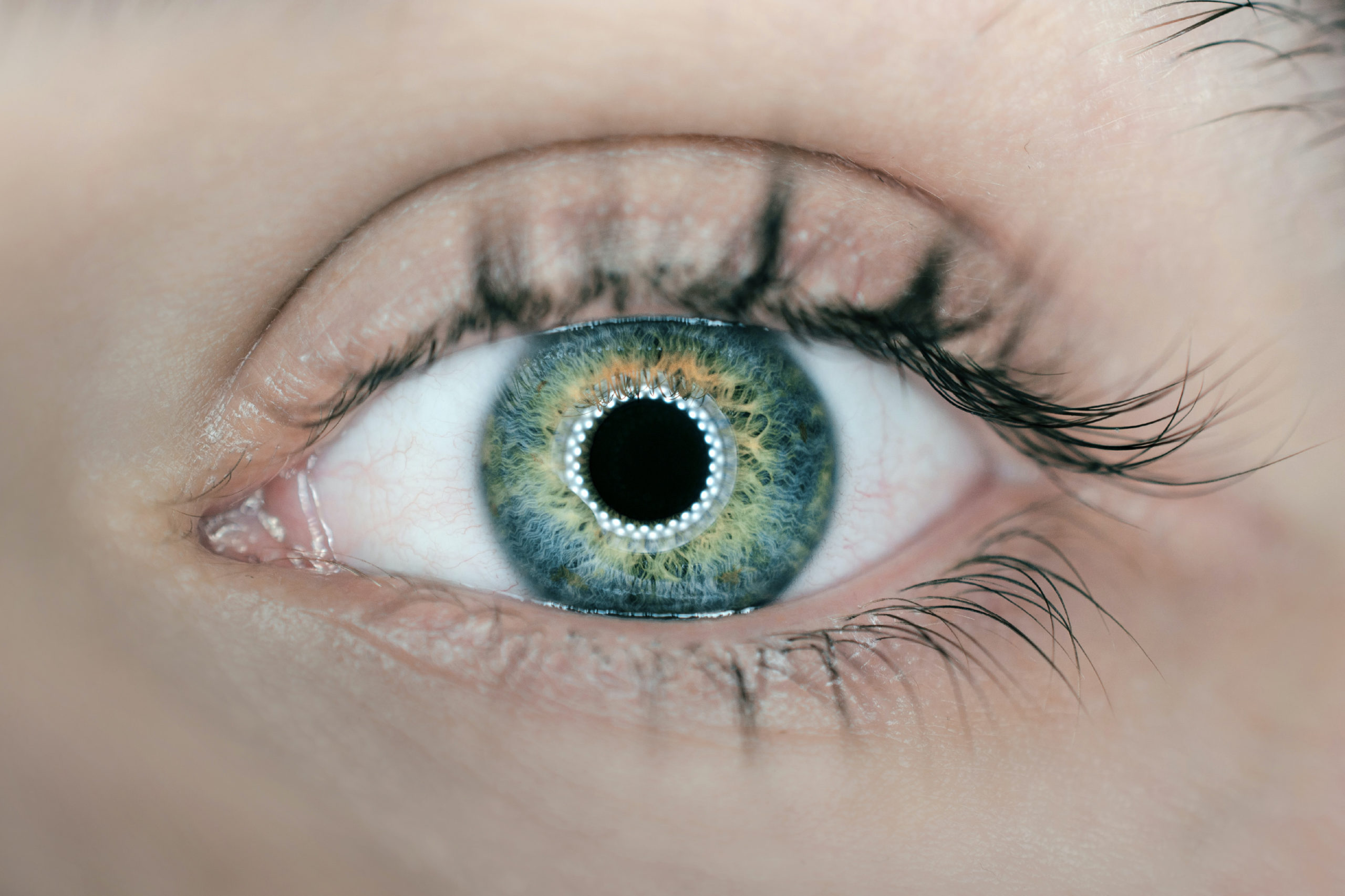 HOW OFTEN SHOULD I HAVE MY EYES TESTED TK S Optometrists how-often-should-i-have-my-eyes-tested-tk-s-optometrists